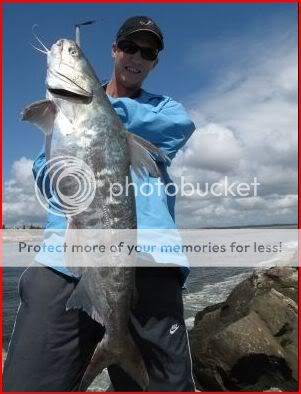 Is this the biggest catfish caught in QLD? - Saltwater - Australian ...